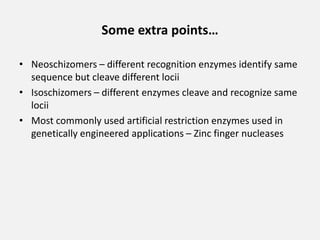 Restriction endonucleases.pptx