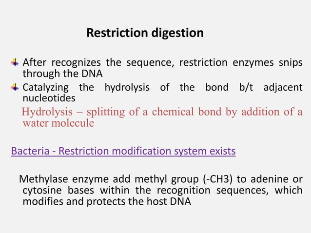Restriction endonucleases.pptx