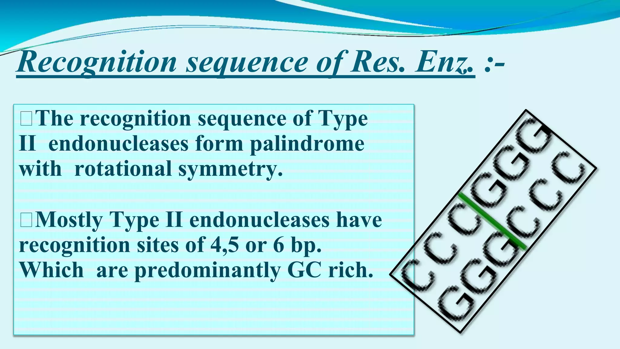 restriction endonucleases.pptx | Chemistry | Science