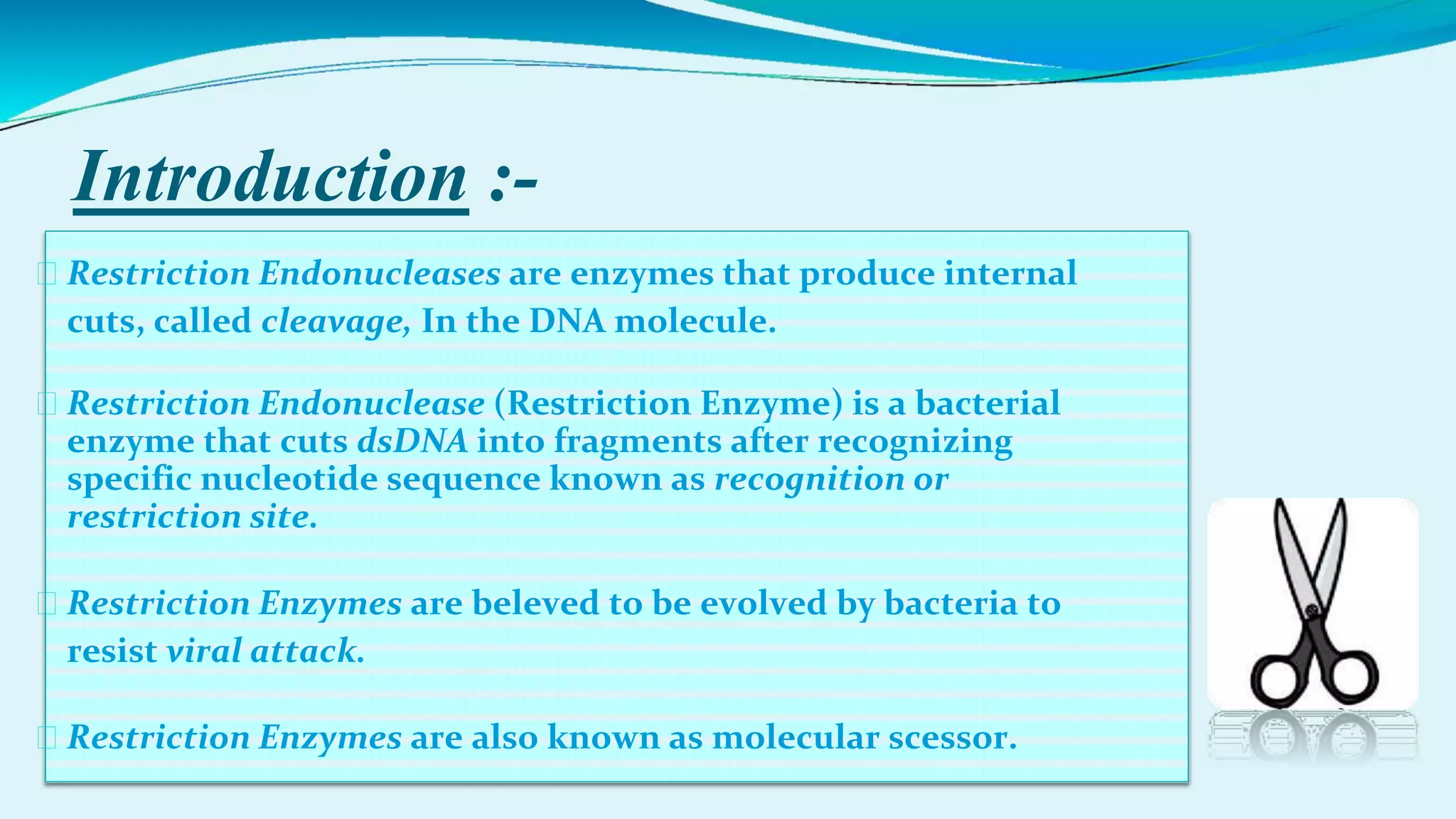 restriction endonucleases.pptx | Chemistry | Science