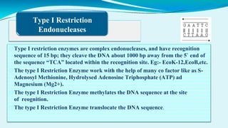 restriction endonucleases.pptx | Chemistry | Science