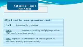restriction endonucleases.pptx | Chemistry | Science