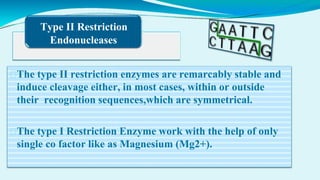 restriction endonucleases.pptx | Chemistry | Science