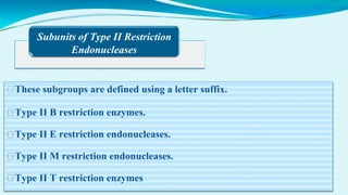 restriction endonucleases.pptx | Chemistry | Science