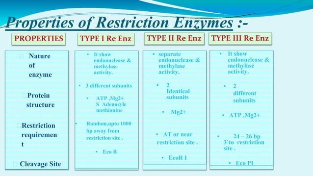 restriction endonucleases.pptx | Chemistry | Science