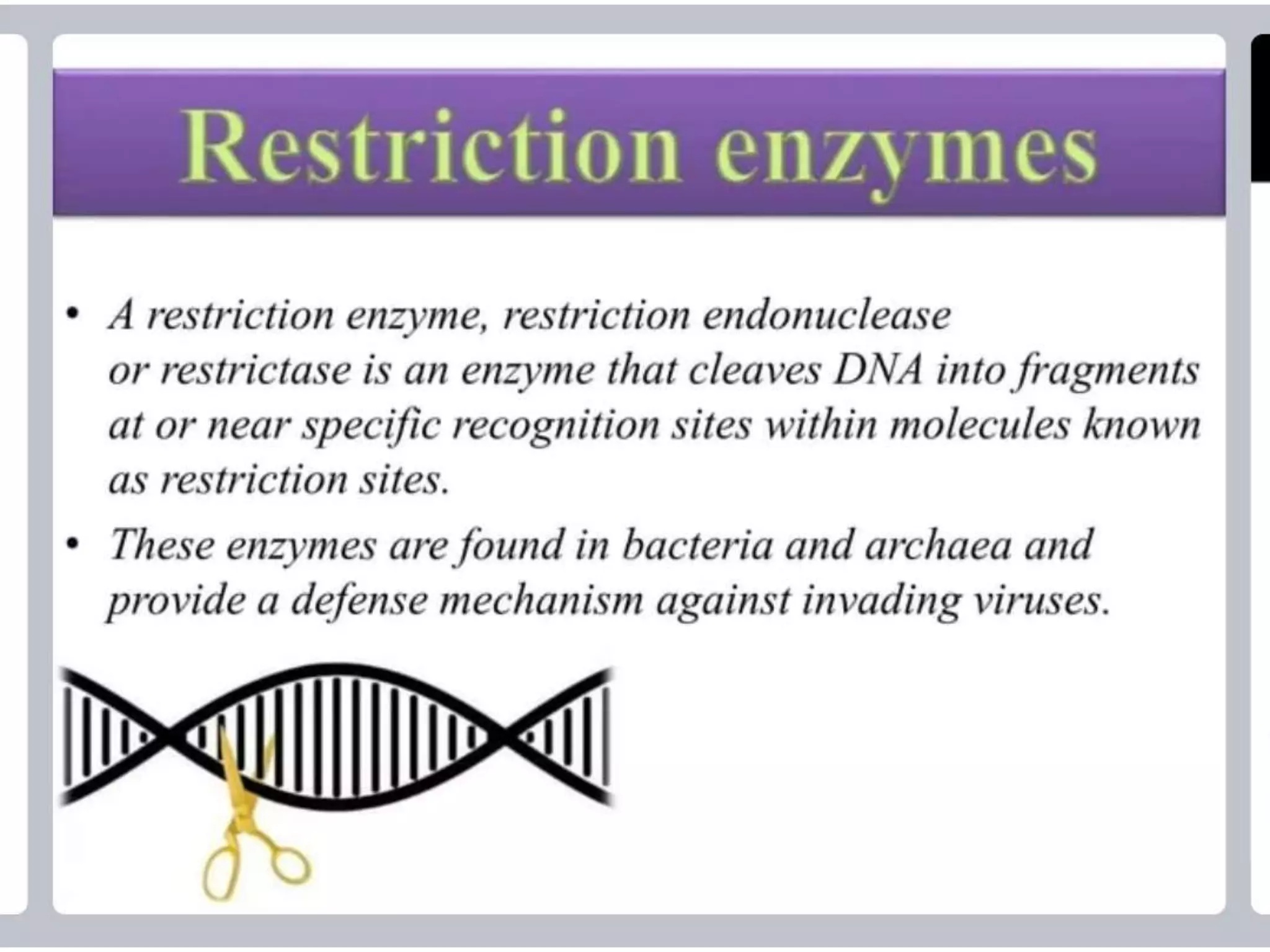 Restriction Endonucleases.pptx