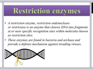Restriction Endonucleases.pptx