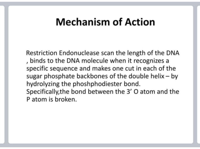 Restriction Endonucleases.pptx