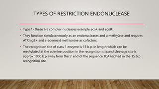 restriction endonucleases.pptxjshsjjdjjddjhz | PPTX