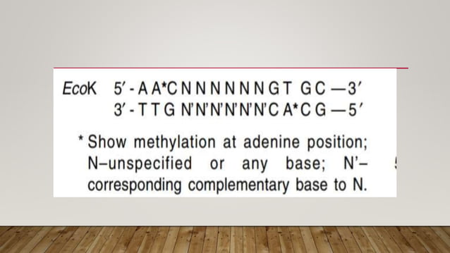 restriction endonucleases.pptxjshsjjdjjddjhz | PPT