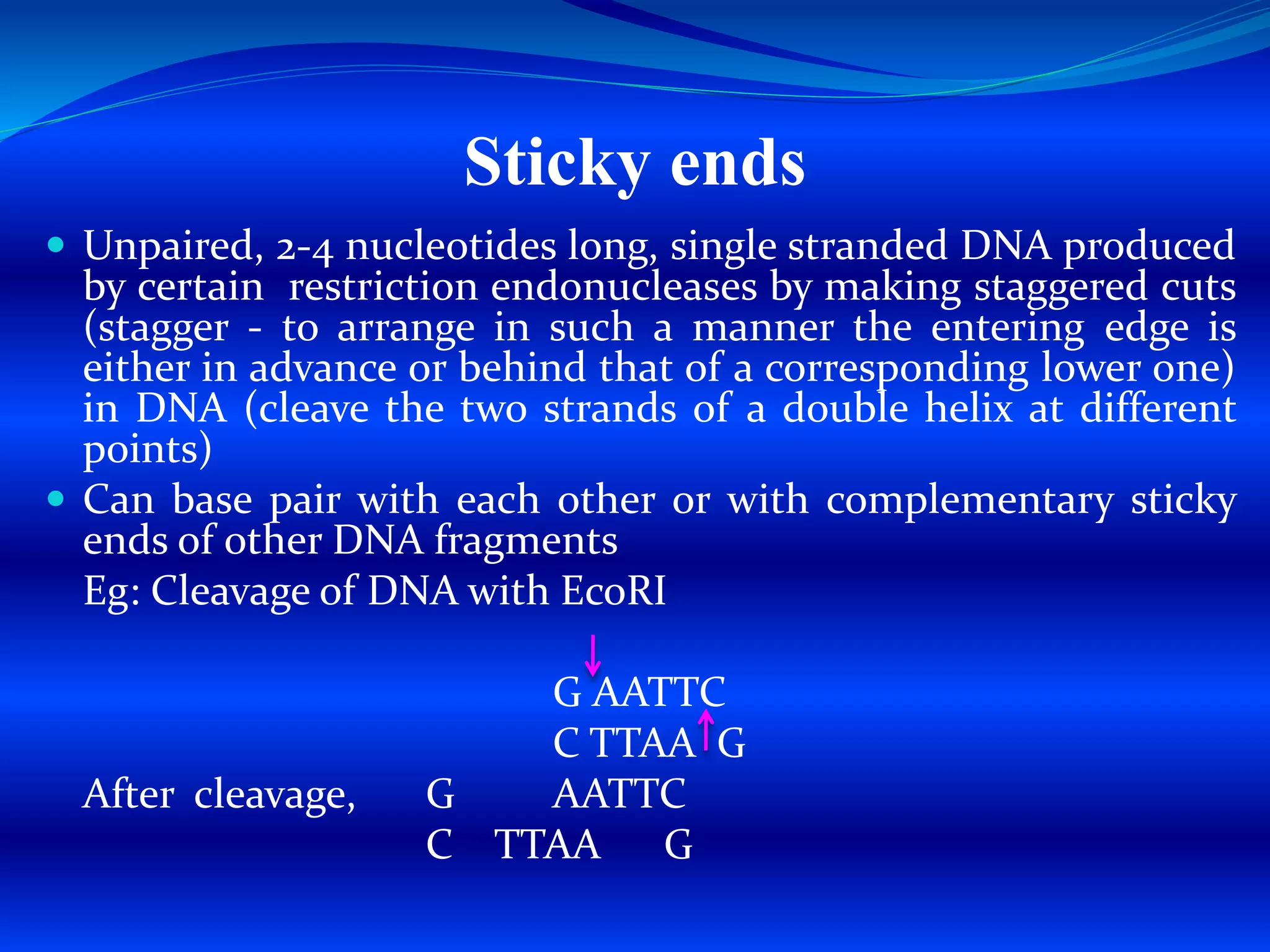 RESTRICTION ENDONUCLEASES & DNA LIGASES SMG | PPTX