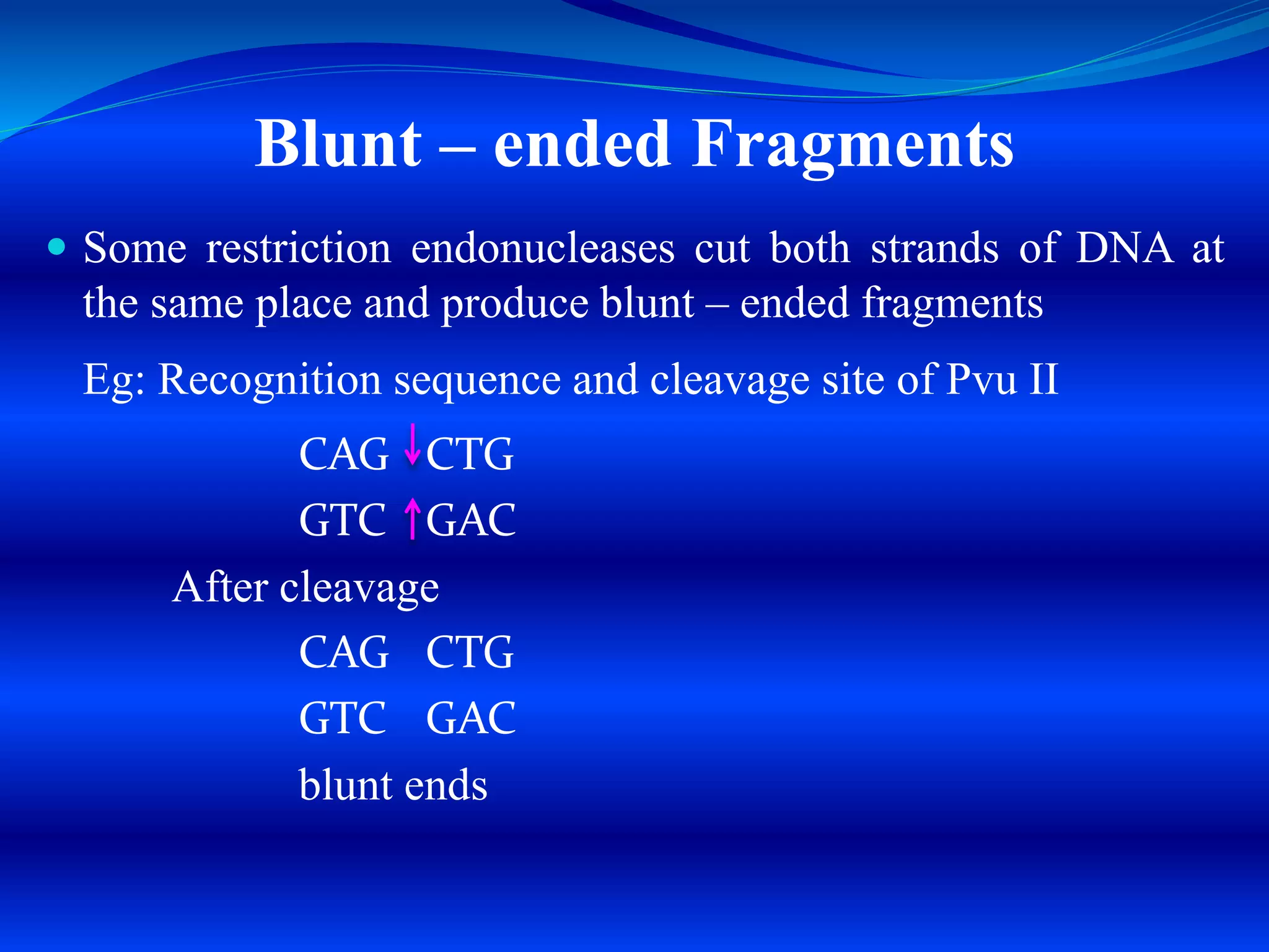 RESTRICTION ENDONUCLEASES & DNA LIGASES SMG | PPTX