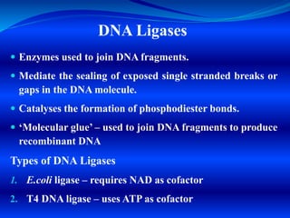 RESTRICTION ENDONUCLEASES & DNA LIGASES SMG | PPTX