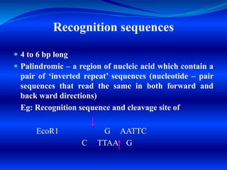RESTRICTION ENDONUCLEASES & DNA LIGASES SMG | PPTX