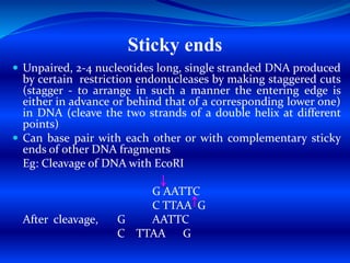RESTRICTION ENDONUCLEASES & DNA LIGASES SMG | PPTX