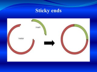 RESTRICTION ENDONUCLEASES & DNA LIGASES SMG | PPTX