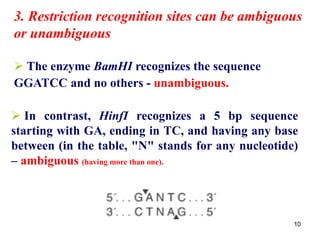 Restriction_Endonucleases for Gene Manipulation -Unit 1.pptx