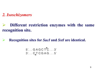 Restriction_Endonucleases for Gene Manipulation -Unit 1.pptx