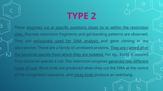 RESTRICTION ENDONUCLEASES PPT SANSKRUTI SHAHANE.pptx