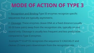 RESTRICTION ENDONUCLEASES PPT SANSKRUTI SHAHANE.pptx