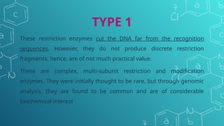 RESTRICTION ENDONUCLEASES PPT SANSKRUTI SHAHANE.pptx