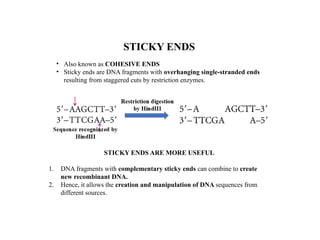 Restriction endonuclease types and digestion.pptx
