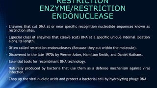 Restriction enzyme | PPTX