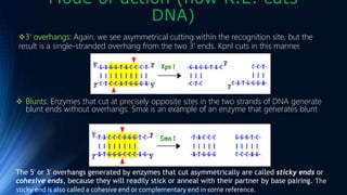 Restriction enzyme | PPTX