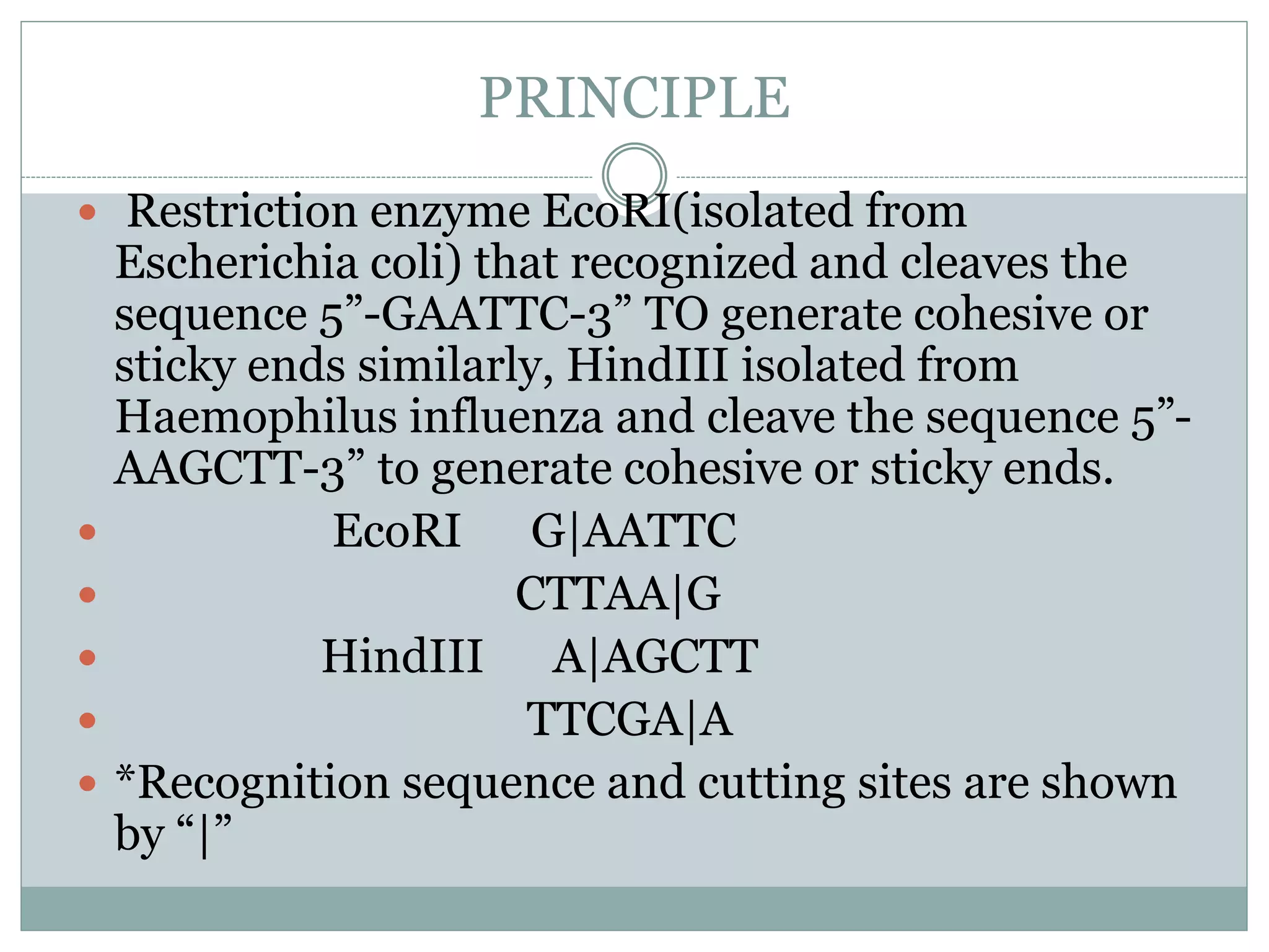 Restriction enzyme digestion | PPTX