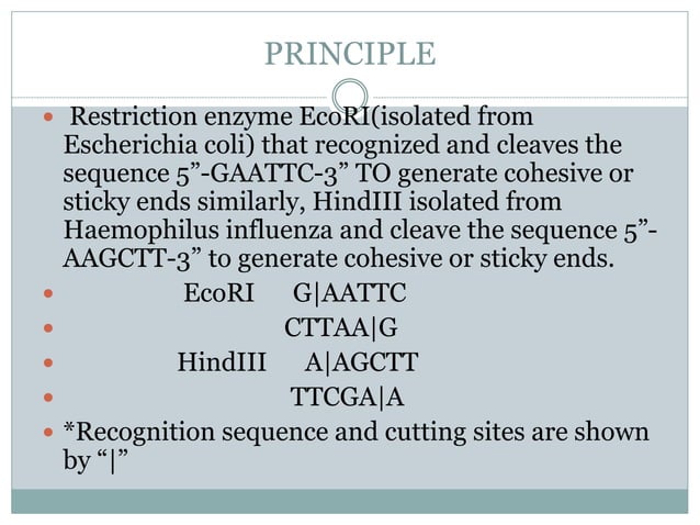Restriction enzyme digestion | PPTX | Genetics | Science