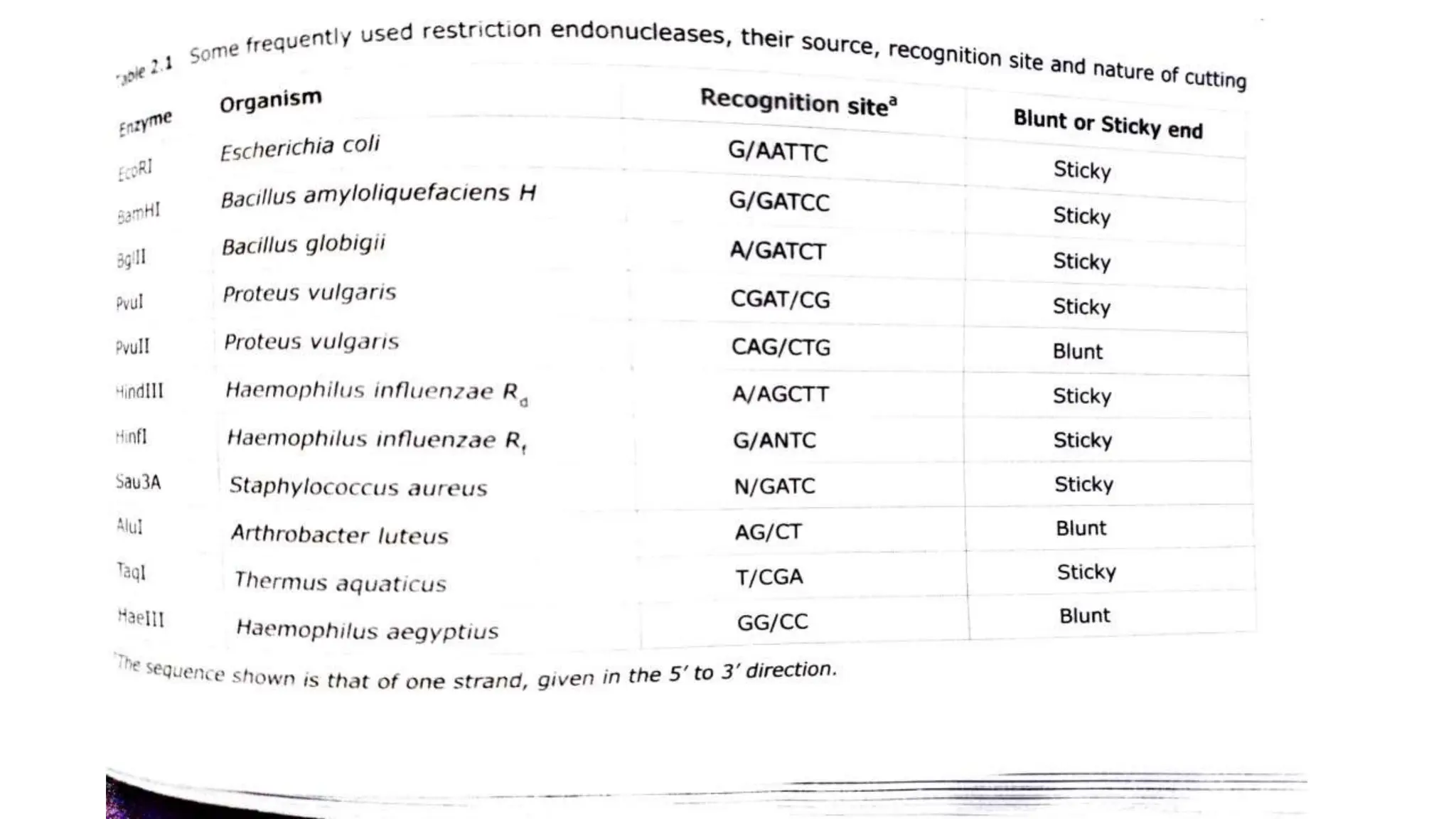Restriction Enzyme (Restriction Endonuclease) Definition.pptx