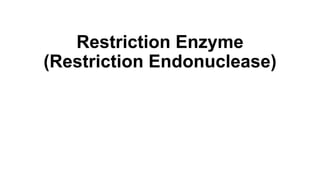 Restriction Enzyme (Restriction Endonuclease) Definition.pptx