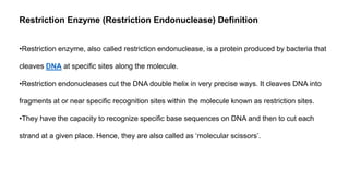 Restriction Enzyme (Restriction Endonuclease) Definition.pptx