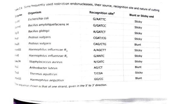 Restriction Enzyme (Restriction Endonuclease) Definition.pptx