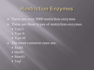 Restriction enzymes | PPT