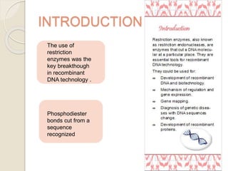 Restriction enzymes | PPTX
