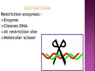 Restriction Enzymes | PPTX