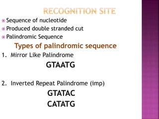 Restriction Enzymes | PPTX