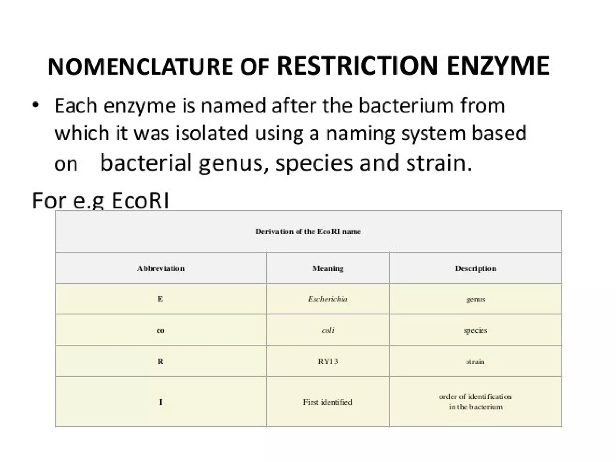 Restriction enzymes genetic enginering | PPT