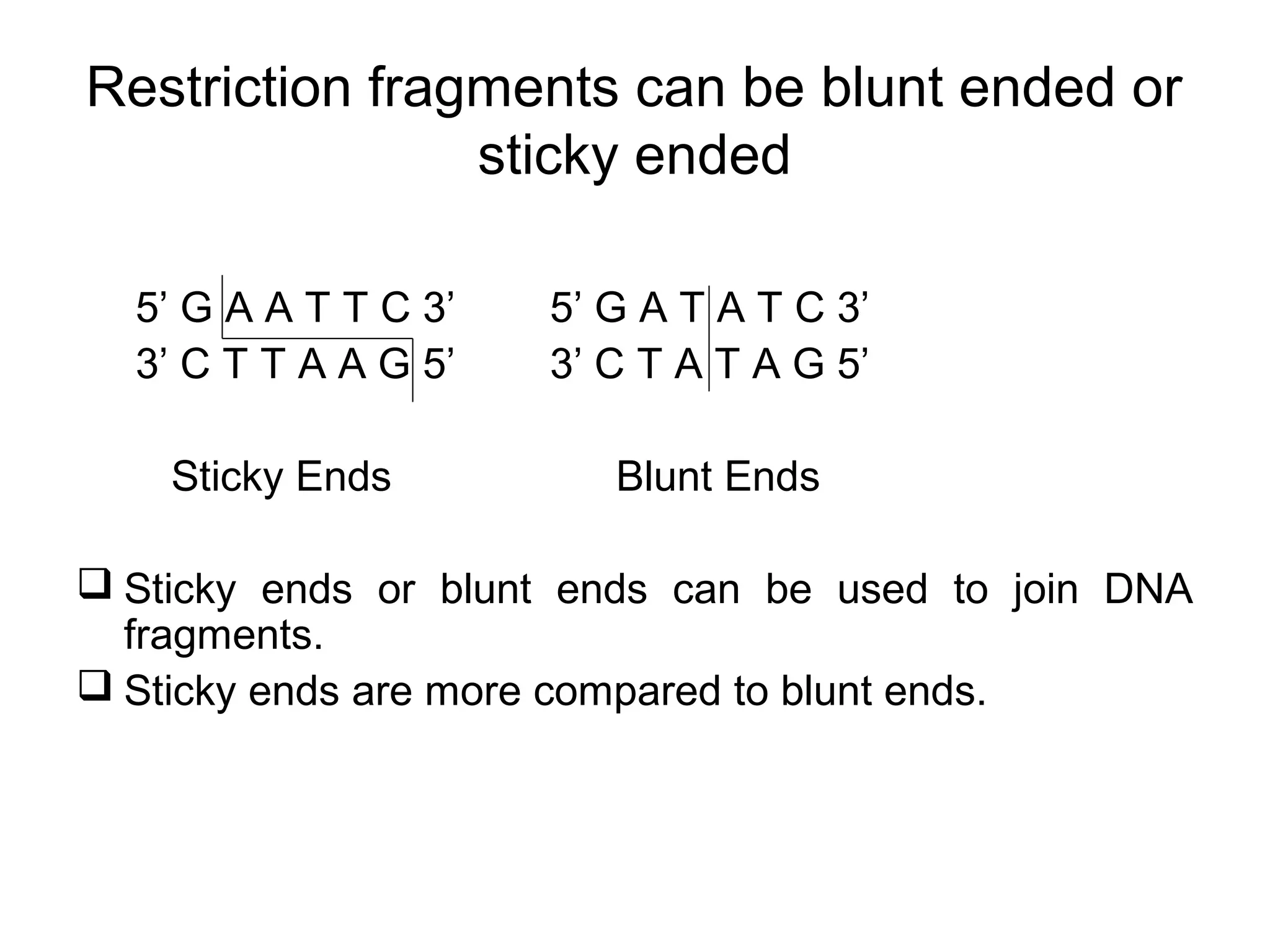 Restriction enzymes genetic enginering | PPT