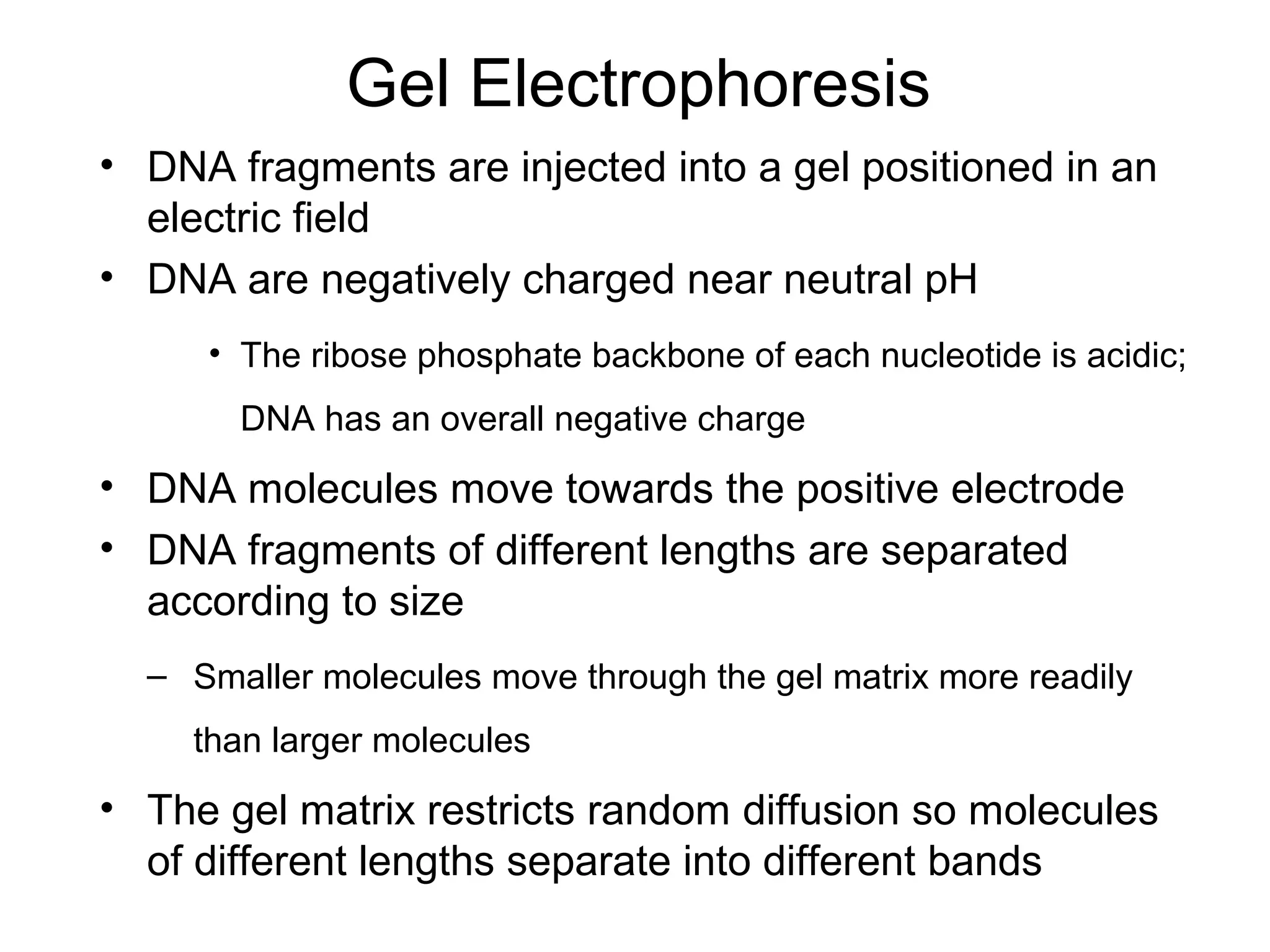 Restriction enzymes genetic enginering | PPT