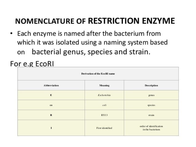 Restriction enzymes genetic enginering | PPT | Chemistry | Science