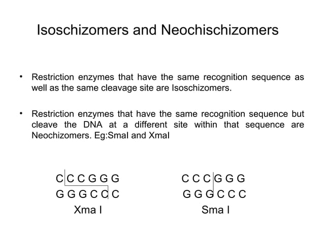 Restriction enzymes genetic enginering | PPT | Chemistry | Science
