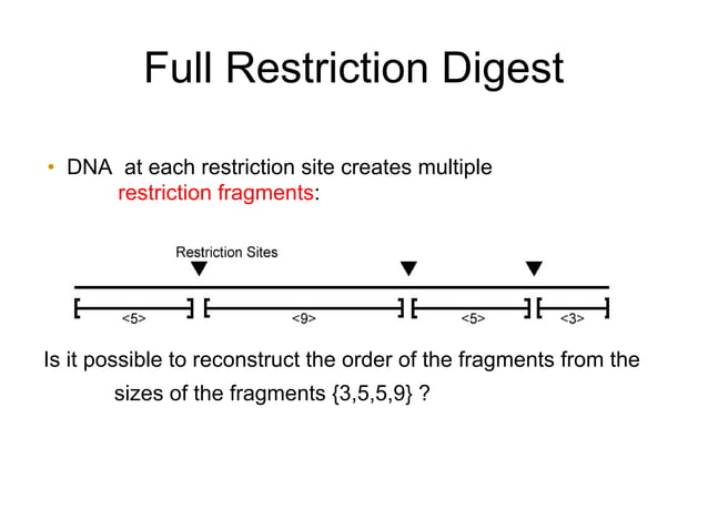 Restriction enzymes genetic enginering | PPT | Chemistry | Science