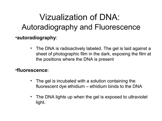 Restriction enzymes genetic enginering | PPT | Chemistry | Science