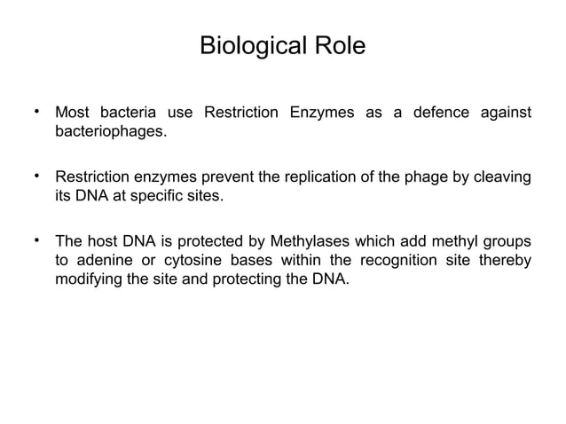 Restriction enzymes genetic enginering | PPT | Chemistry | Science