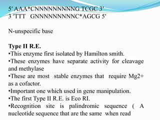 Restriction enzymes | PPTX