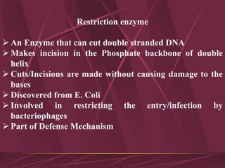 Restriction enzymes | PPT