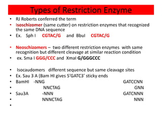 Restriction enzymes | PPTX