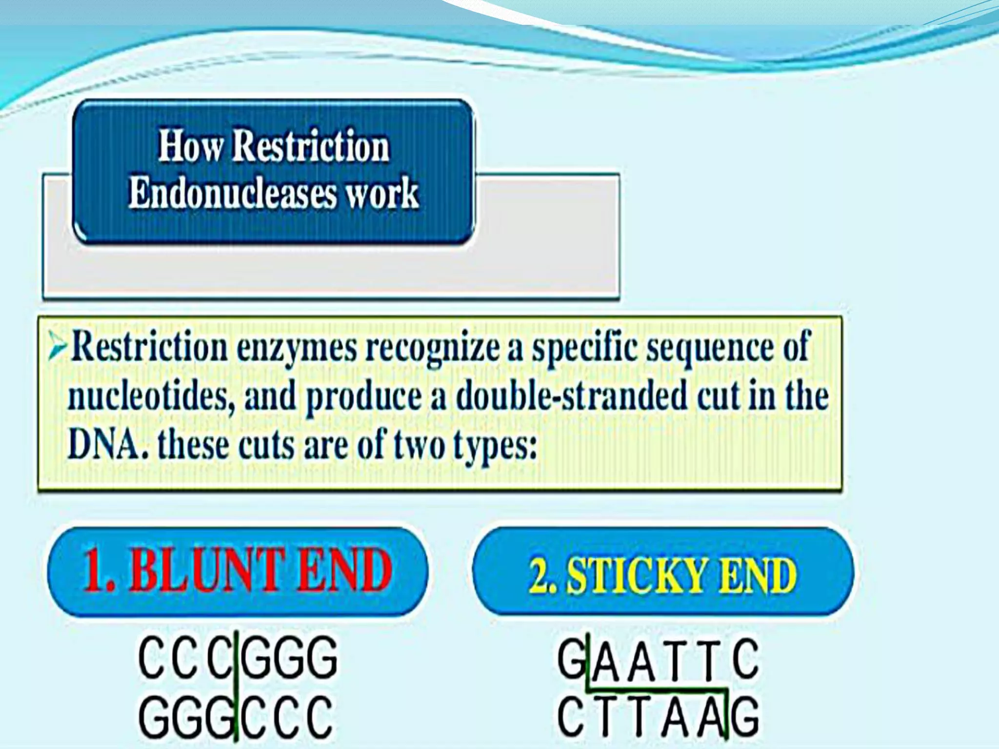 Restriction Enzyme | PPTX
